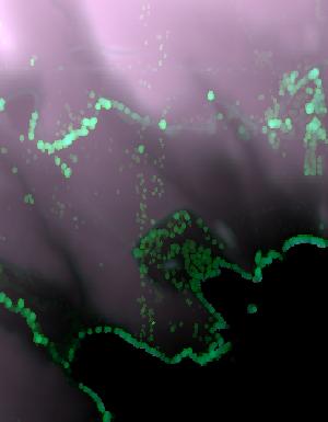 USGS Lidar Point Cloud CO_DRCOG_2020_B20 w0487n4413 - ScienceBase-Catalog