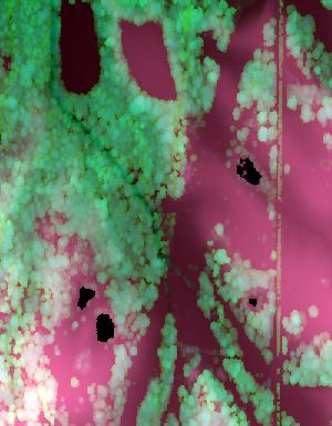 USGS Lidar Point Cloud IL_HicksDome_FluorsparDistrict_2019_D19 8750 ...