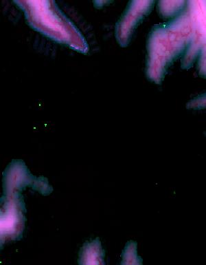 USGS Lidar Point Cloud MO_FEMA_R7_North_2017_D18 15SWC531228 ...