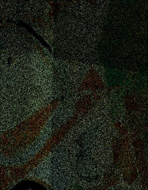 USGS Lidar Point Cloud Virginia_SANDY_QL2_LiDAR 18STH9208 - ScienceBase ...